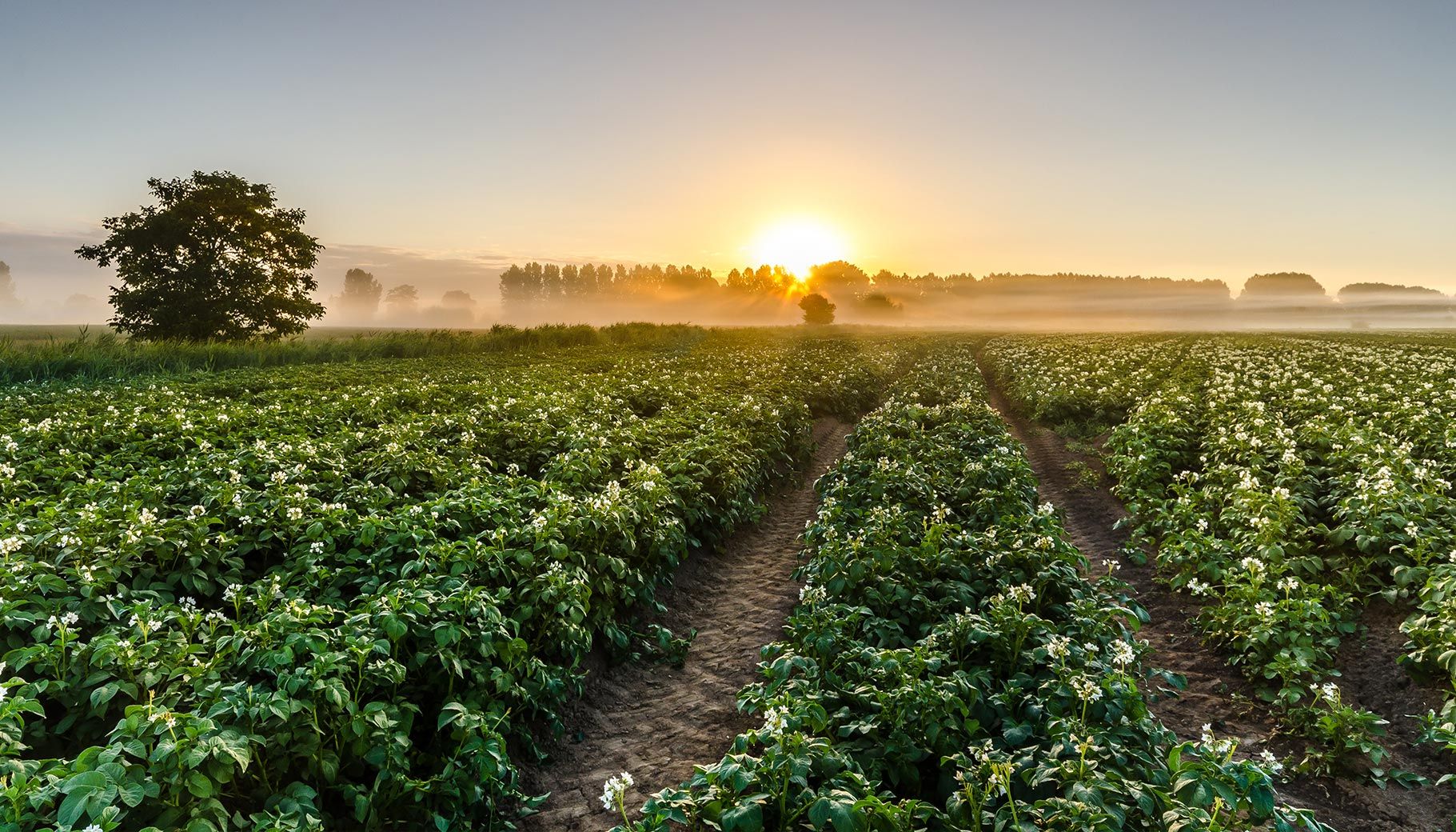 Over ons | Otten Agrarisch Onroerend Goed